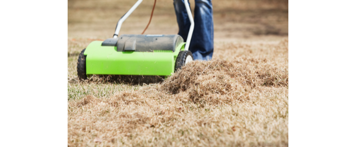 Why Power Raking Is Bad For Your Lawn [+The Damage It Causes]